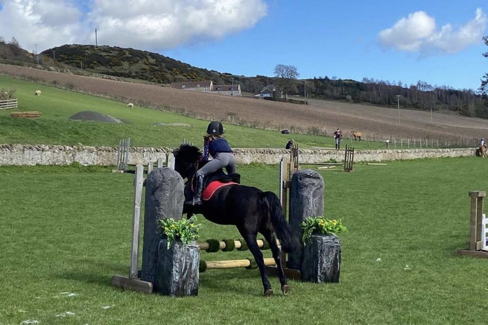 Working Hunter - Lindores Equestrian