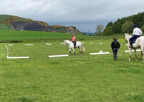 Dressage Arena on Grass | Lindores Cross Country